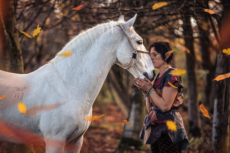 Home - White Horse Wedding Hire