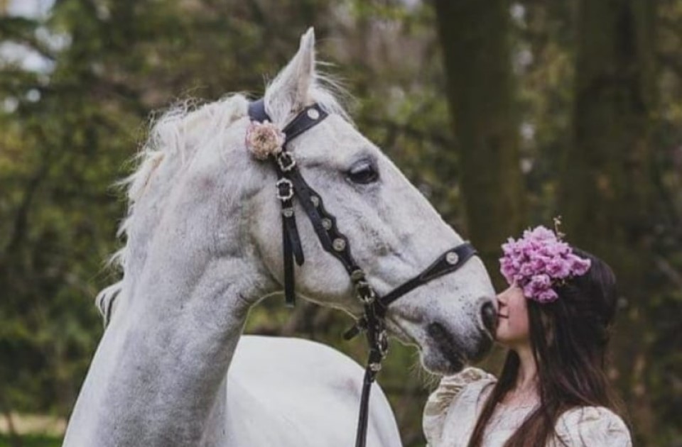 Home - White Horse Wedding Hire